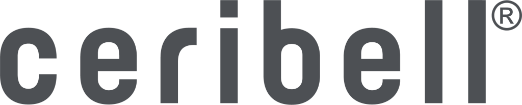 Ceribell EEG - FDA-cleared system to improve treatment of seizure patients