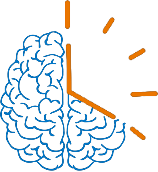Emergency Department | Ceribell