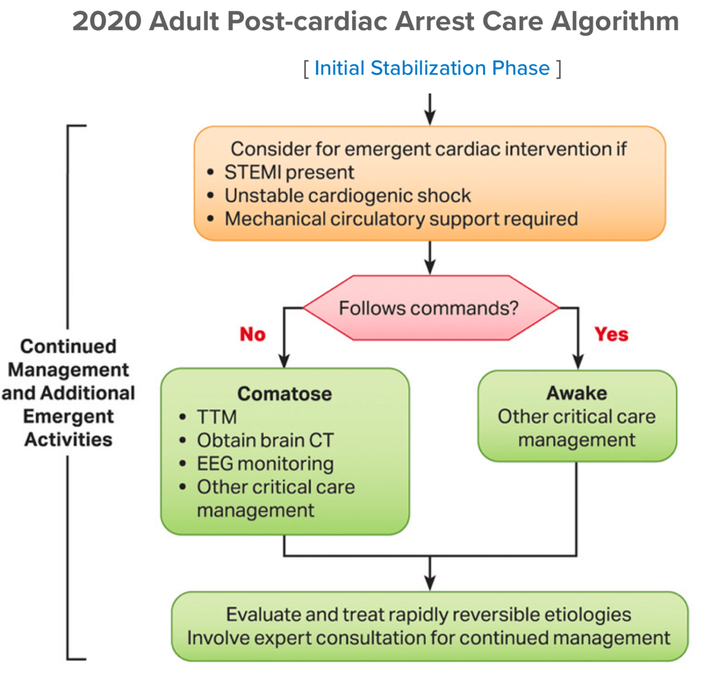 Seizure Management Guidelines | Ceribell