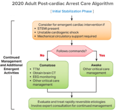 Seizure Management Guidelines | Ceribell