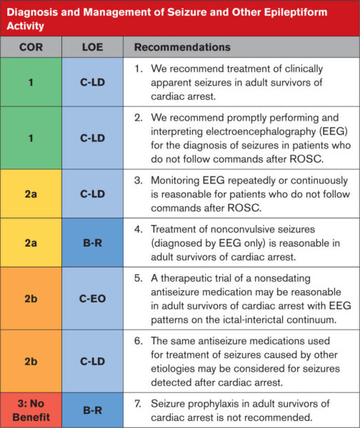 Seizure Management Guidelines | Ceribell